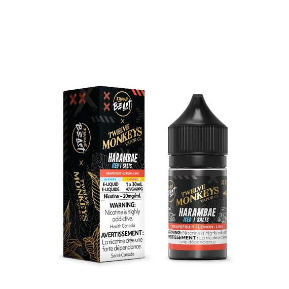 FLAVOUR BEAST BEAST MODE MAX DISPOSABLE VAPE (18000 PUFFs) – Mister Vapor