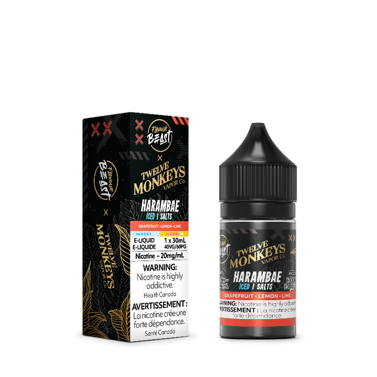 FLAVOUR BEAST BEAST MODE MAX DISPOSABLE VAPE (18000 PUFFs) – Mister Vapor